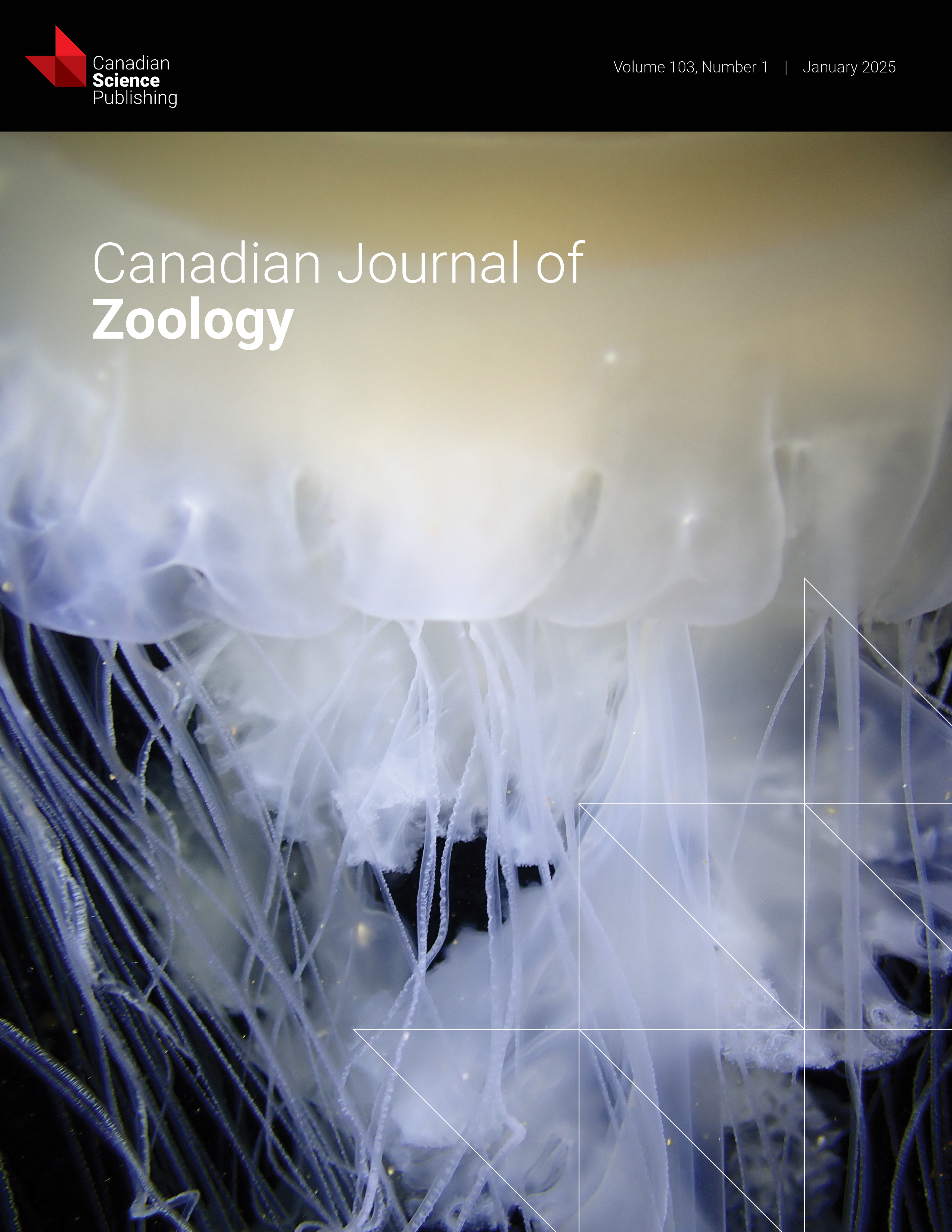 Lexy snags CJZ cover art | Wyeth Lab