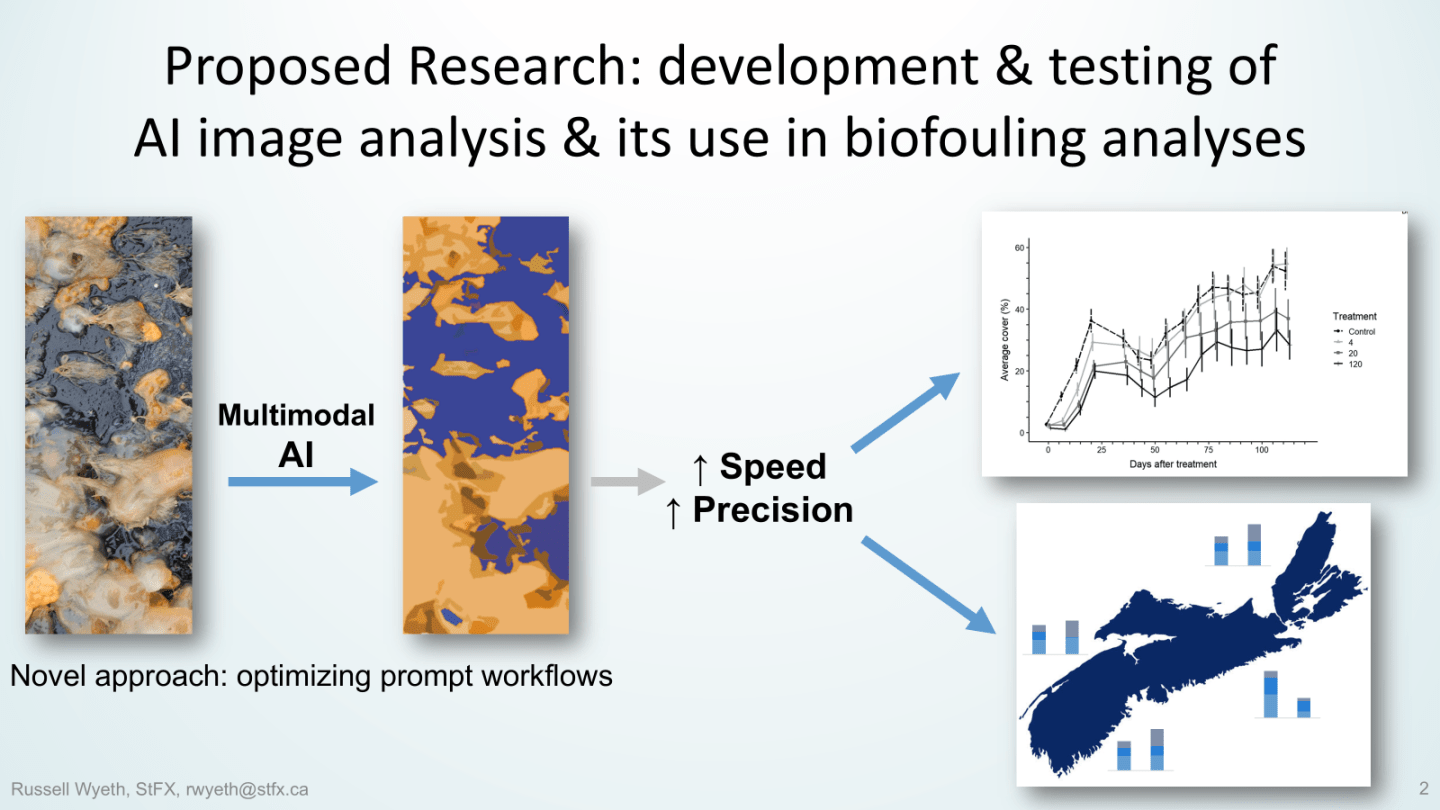 a new AI and biofouling project | Wyeth Lab